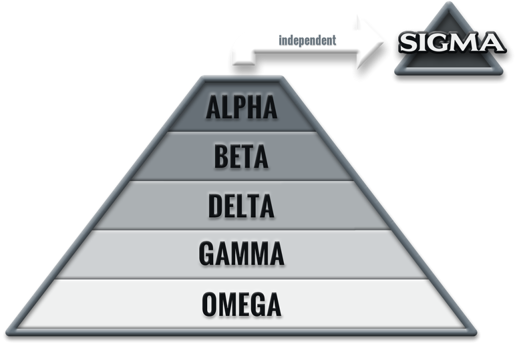 Sigma Prepper - Prepping for SHTF, Survival Gear, Bushcraft Skills